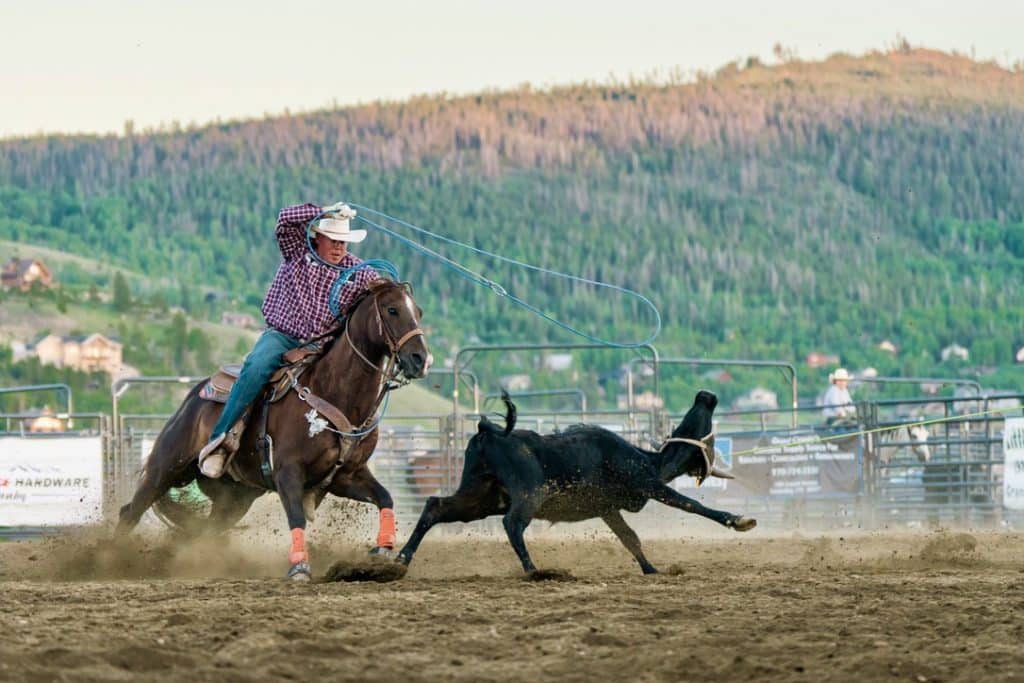 PHOTOS: Roping and riding at the Granby Rodeo | SkyHiNews.com